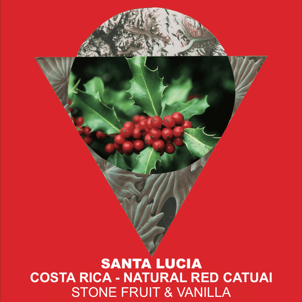 Santa Lucia - Costa Rica - Ancoats Coffee Co